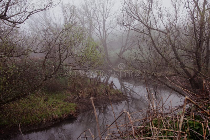 Light mist stock photo. Image of texture, design, water - 83257152