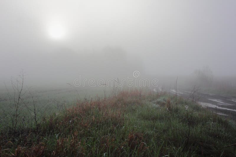 Light mist stock photo. Image of water, travel, summer - 83257530