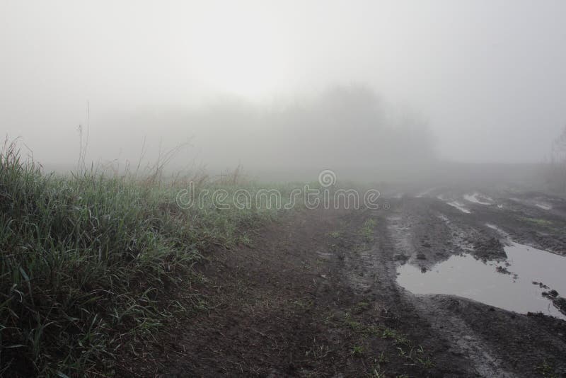 Light mist stock photo. Image of bright, yellow, blue - 83272678