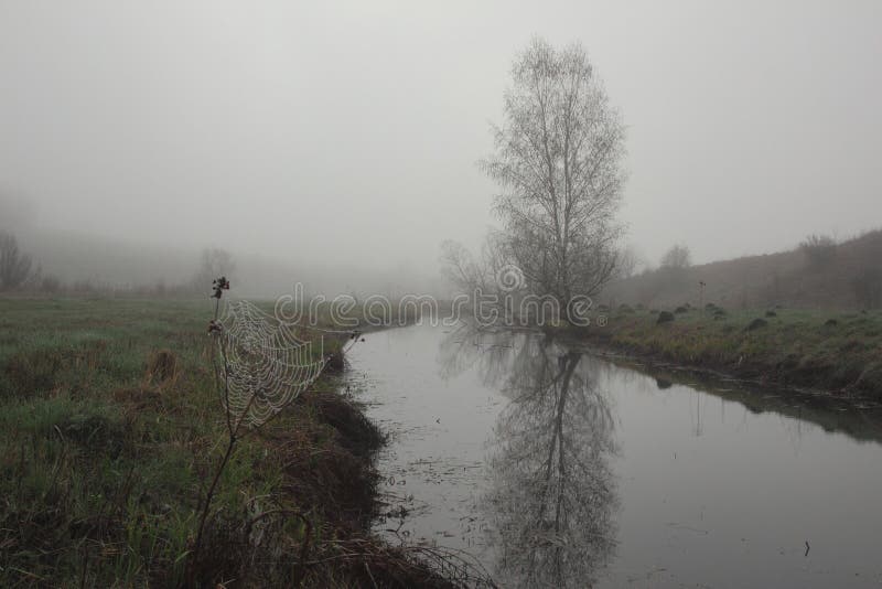 Light mist stock photo. Image of blue, concept, bright - 83273084