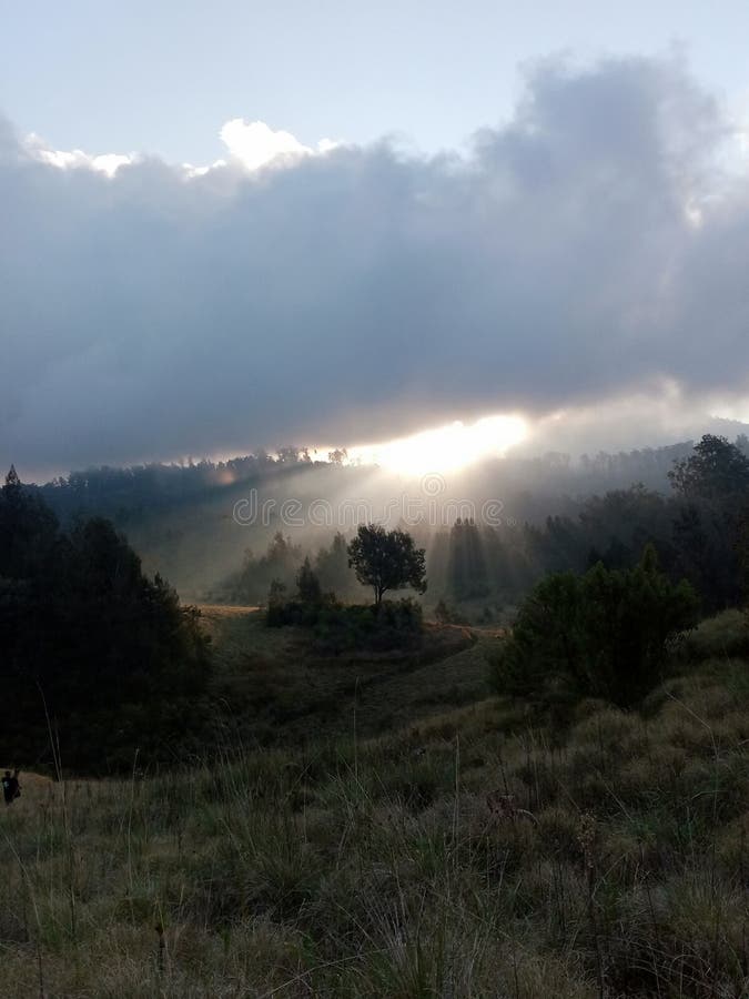 Light in mount argopuro stock photo. Image of ilahi - 262403532