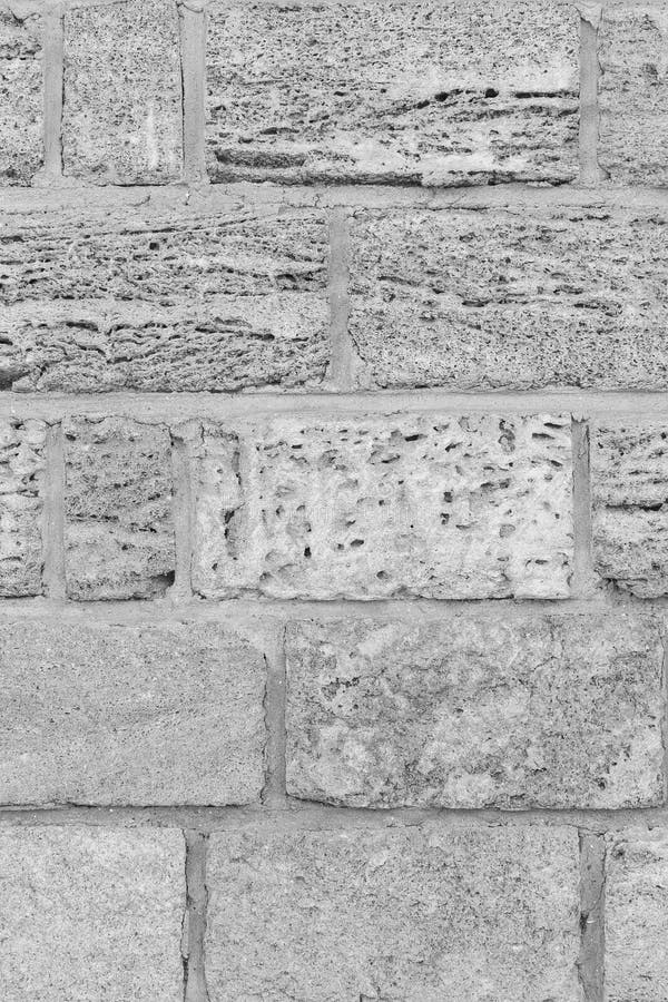 Light Natural Grey Shell Brick Wall Texture Sand Structure Background ...