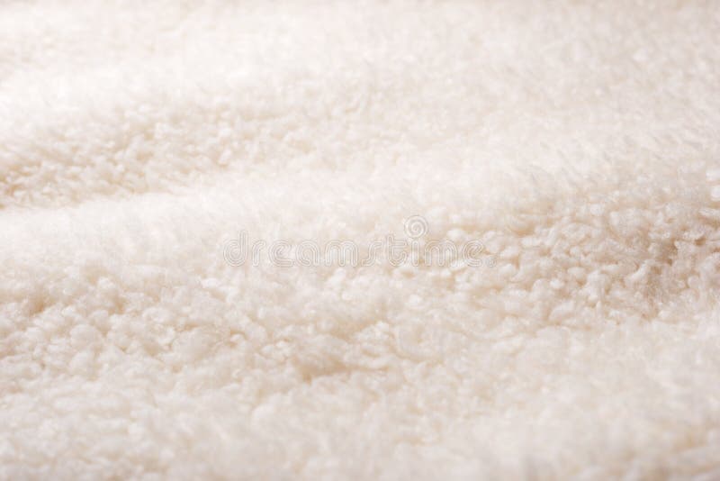 Light Natural Sheep Wool Close Up. Stock Image - Image of abstract ...
