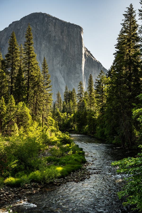 Light on the Nose of El Capitan Stock Image - Image of summer, dewy ...