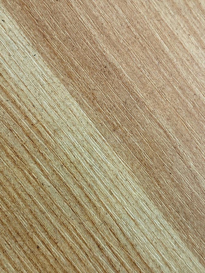 Light Oak Texture. Lightened Oak Stock Photo - Image of carpentry ...