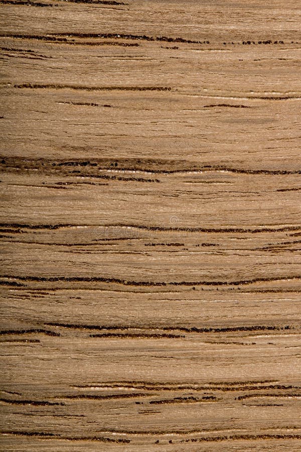 Light Oak, Texture. Taken in Close-up, with Space for Text Stock Photo ...
