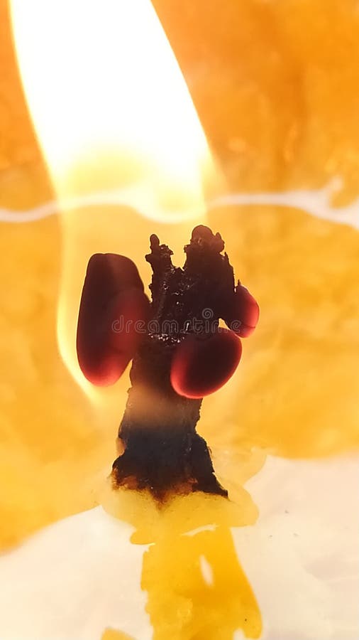 Light Orange Candle Reflection Stock Image - Image of light, refl ...