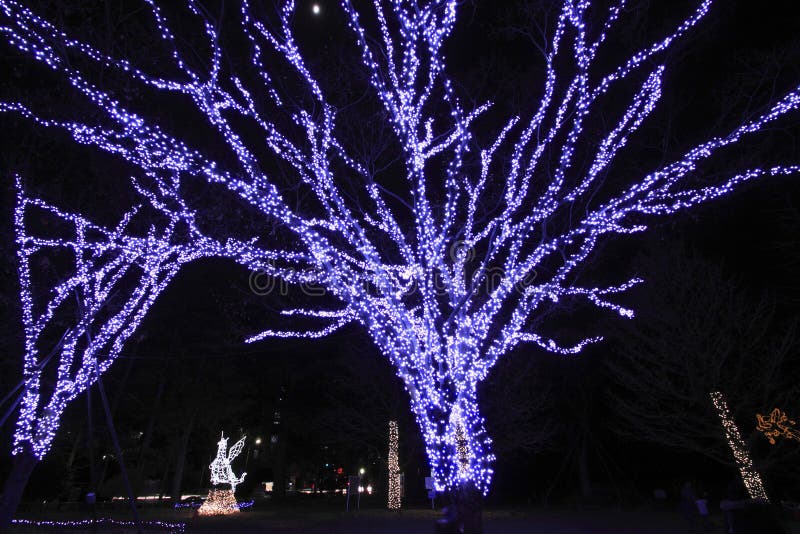 The Light of Pageant in Sendai Stock Photo - Image of light, miyagi ...