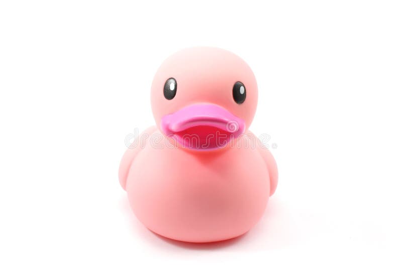 Pink Rubber Ducks stock image. Image of ducky, bathtime - 11408719