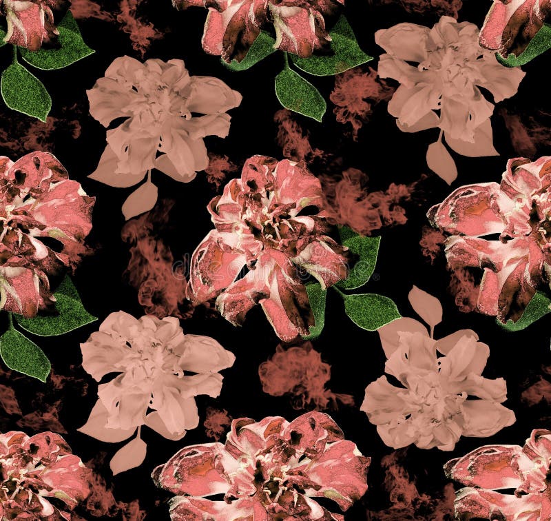 Light Pink and Black Rose Flower Pattern Design Background Stock ...