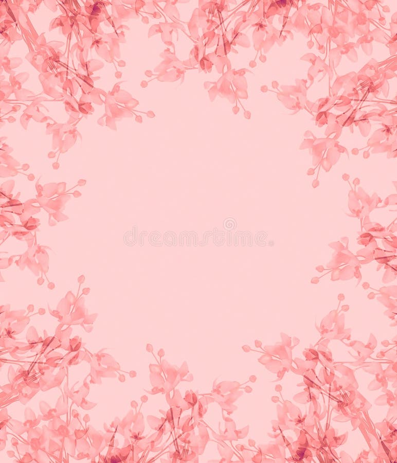 Light Pink Flowers Photo Frame Stock Illustration - Illustration of ...