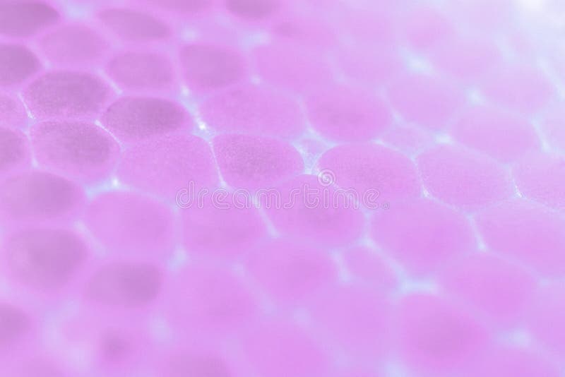 Light Pink Foam Plastic Texture Stock Image - Image of isolation ...