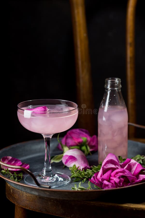 Light pink rose cocktail stock photo. Image of healthy - 142695138