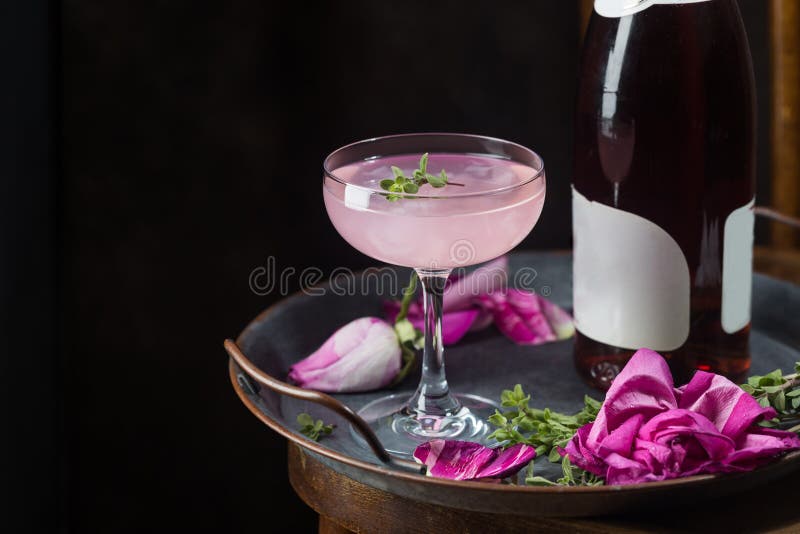Light pink rose cocktail stock photo. Image of healthy - 142695138