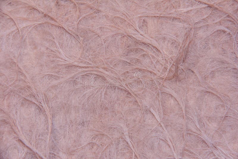 Light Pink Sheep Hair. the Texture of the Sheepskin Stock Image - Image ...