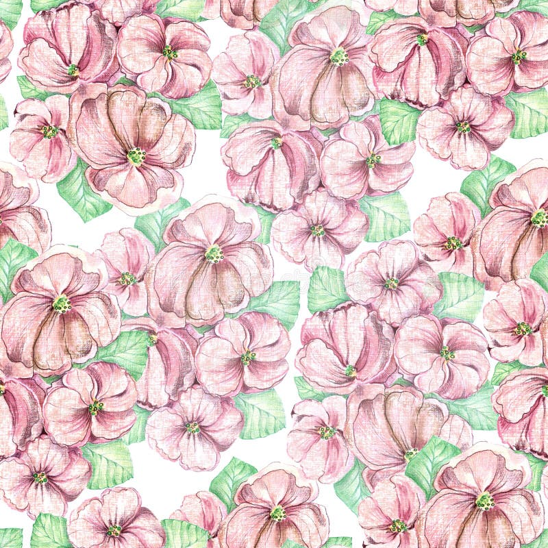 Light Pink Spring Flowers. Seamless Pattern. Stock Illustration ...