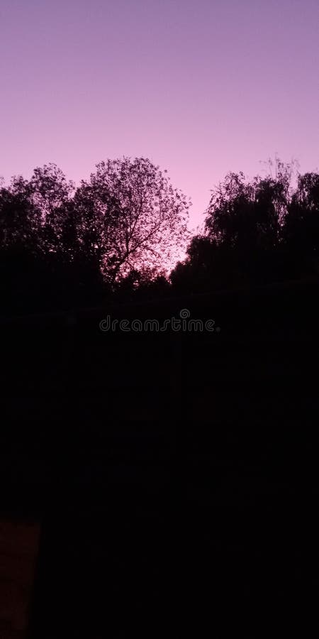 The light from a pink sun stock image. Image of darkness - 184794707