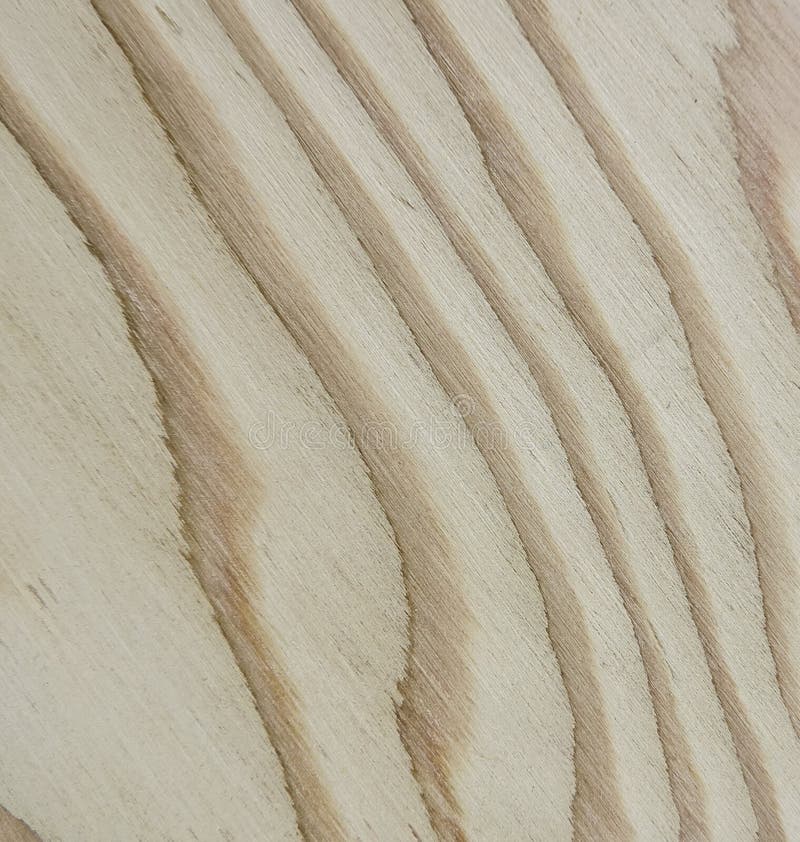 Light Plywood Texture Lumber Material, Natural Pattern Textured ...