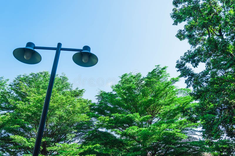Light Pole on a Background of Green Trees Stock Image - Image of urban ...