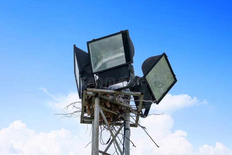 Light Pole on Blueky Background Stock Photo - Image of reflector, blue ...
