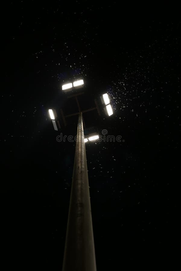 A Light Pole with Four Large Lights Illuminating the Many Bugs that are ...