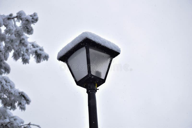 Light Pole with Snow Build Up Stock Photo - Image of post, snowy: 124825994