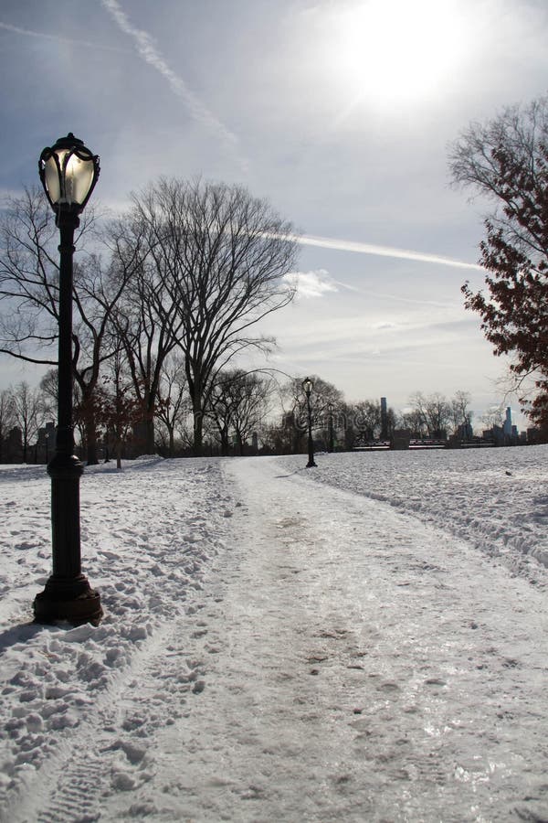 Snow Walkway in Winter Forest Stock Photo - Image of frost, grove: 29140106