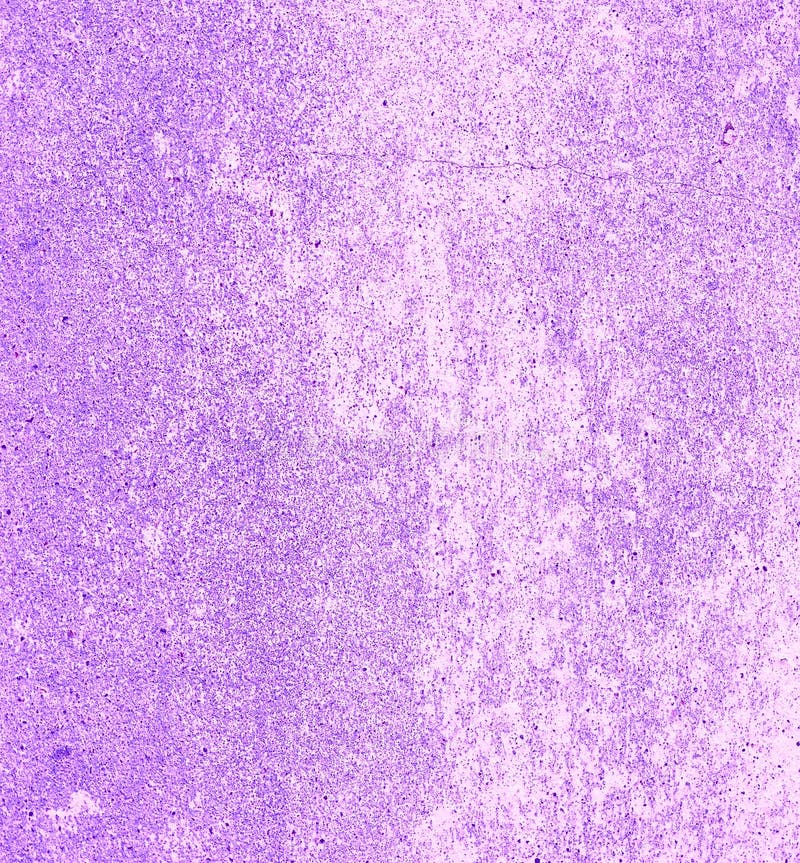 Light Purple concrete wall stock image. Image of cover - 32151079