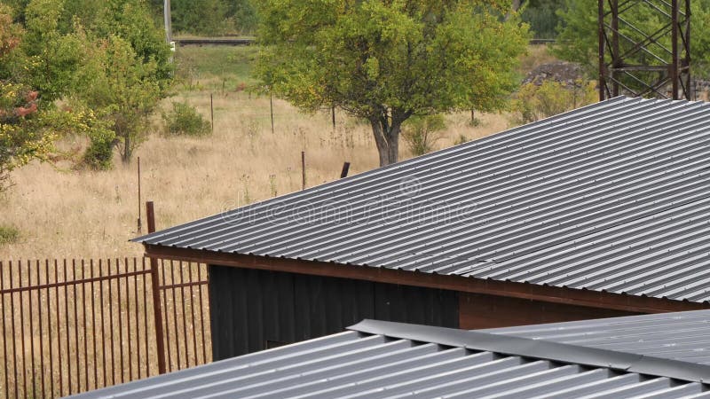 Light Rain Falling on Corrugated Steel Rooftop in a Serene Rural ...