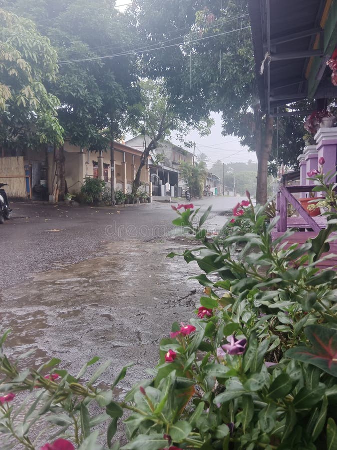Light Rainy Weather for the North Sulawesi Area Stock Photo - Image of ...