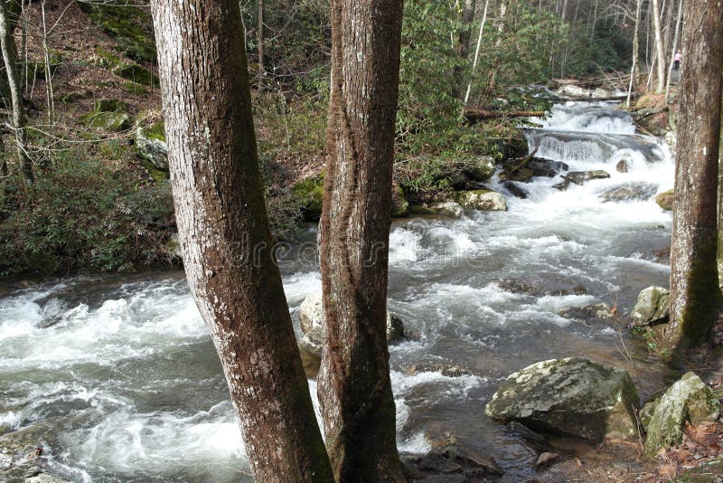 Light rapids stock photo. Image of rapids, georgia, geogia - 69525162