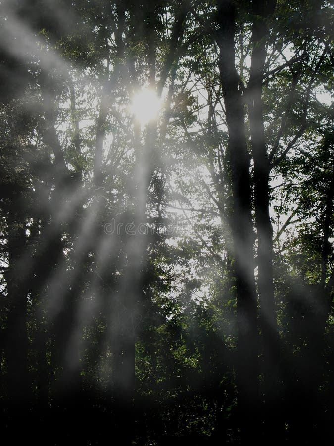 Sun rays stock image. Image of mist, dusk, shine, sunrise - 319457