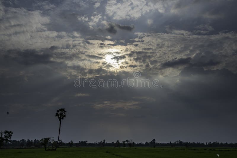 Light rays dramatic sunset stock image. Image of ecosystem - 204187467