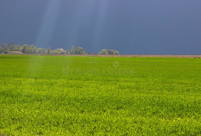 Light Rays Fall on the Grass. Background Stock Photo - Image of travel ...