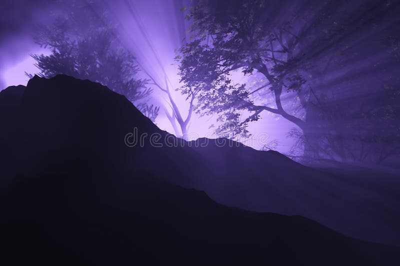 Light Rays at Night stock illustration. Illustration of forest - 13344000