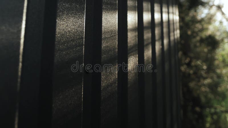 Light Rays and Tree Shadows Over the Tiny House in the Green Forest at ...