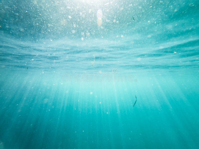 810+ Rays underwater Free Stock Photos - StockFreeImages