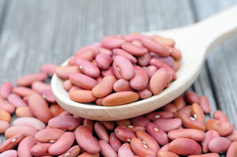 Light red bean stock image. Image of cooking, vegetable - 31337097