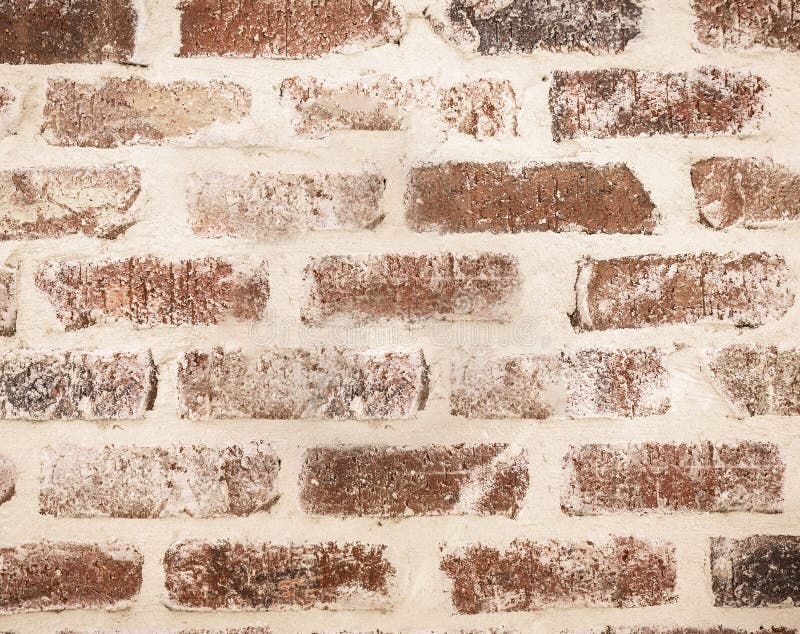A Light Red Brick and Cream Wall Stock Photo - Image of blanch ...