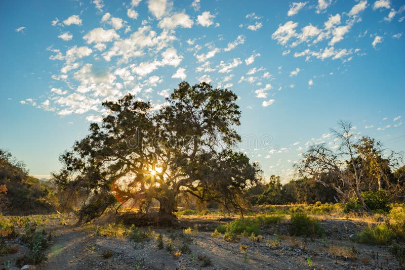 Light Refraction from Sunset Stock Photo - Image of climate ...