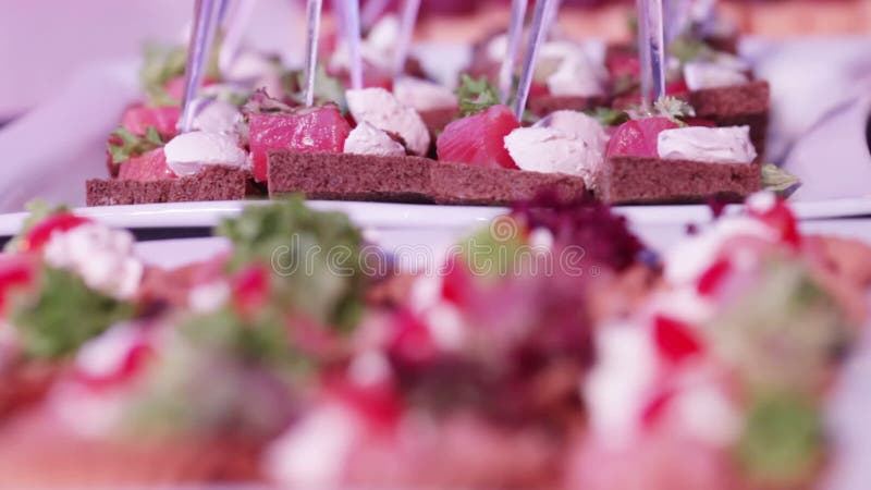 Light refreshments stock video. Video of lunch, finger - 50346223