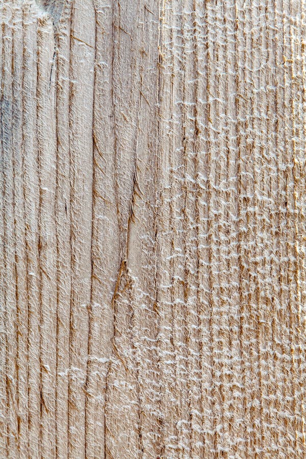 Light Rough Wood Surface Texture Stock Photo - Image of floor ...