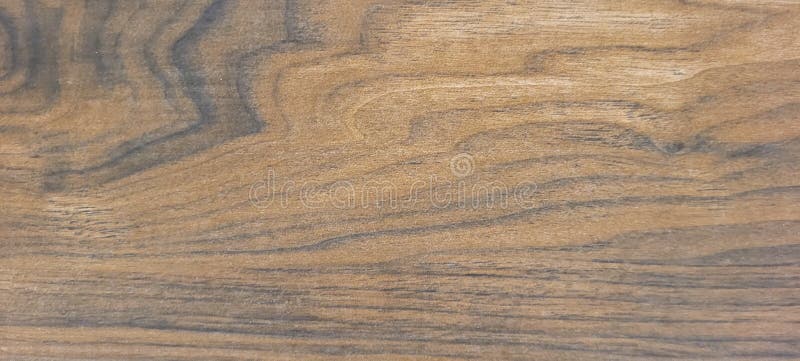 Light Rustic Wood Background with Dark Veins on Natural Panel Stock ...