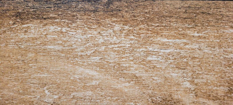 Light Rustic Wood Background with Dark Veins on Natural Panel Stock ...
