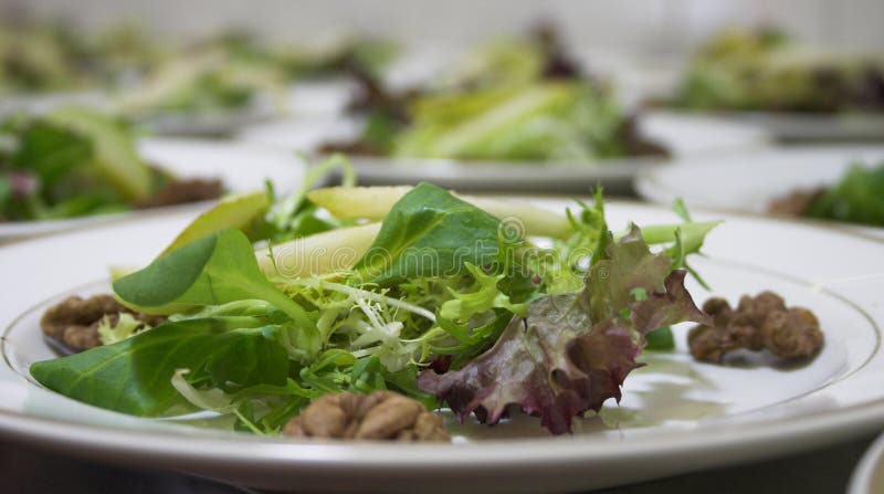 Light salad stock image. Image of green, starter, banquet - 133319