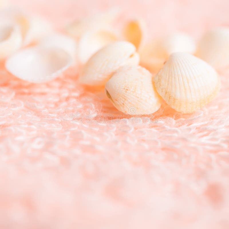 Light Sea Shells on Soft Pink Terry Texture Stock Image - Image of calm ...