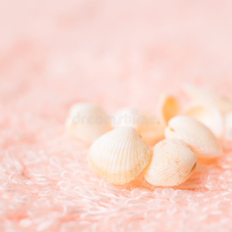 Texture Pink Beech , Wood Grain Stock Image - Image of elegance ...