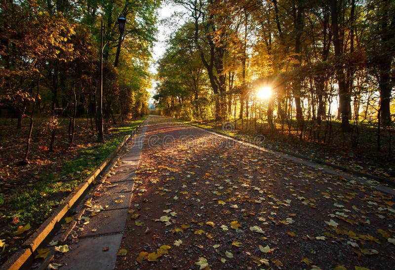 Light of the Setting Sun in Autumn Park on Footpath Stock Photo - Image ...
