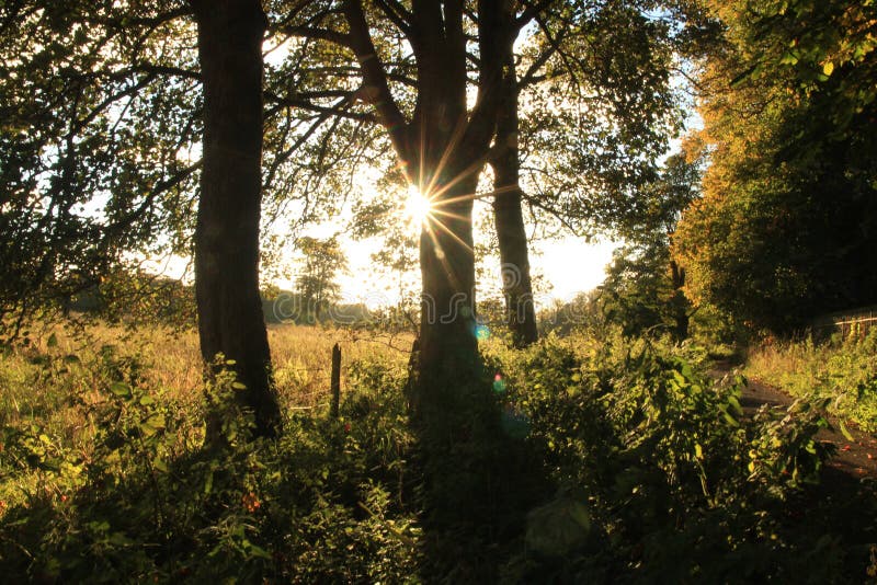 Off from the cycle path stock image. Image of country - 140267993