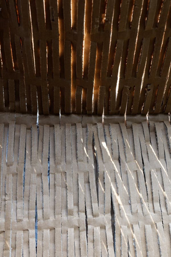 Light through the Slots of the Trees in the Forest Stock Image - Image ...